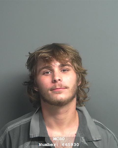 FITZGERALD, MORGAN LEE | montgomery county police reporter